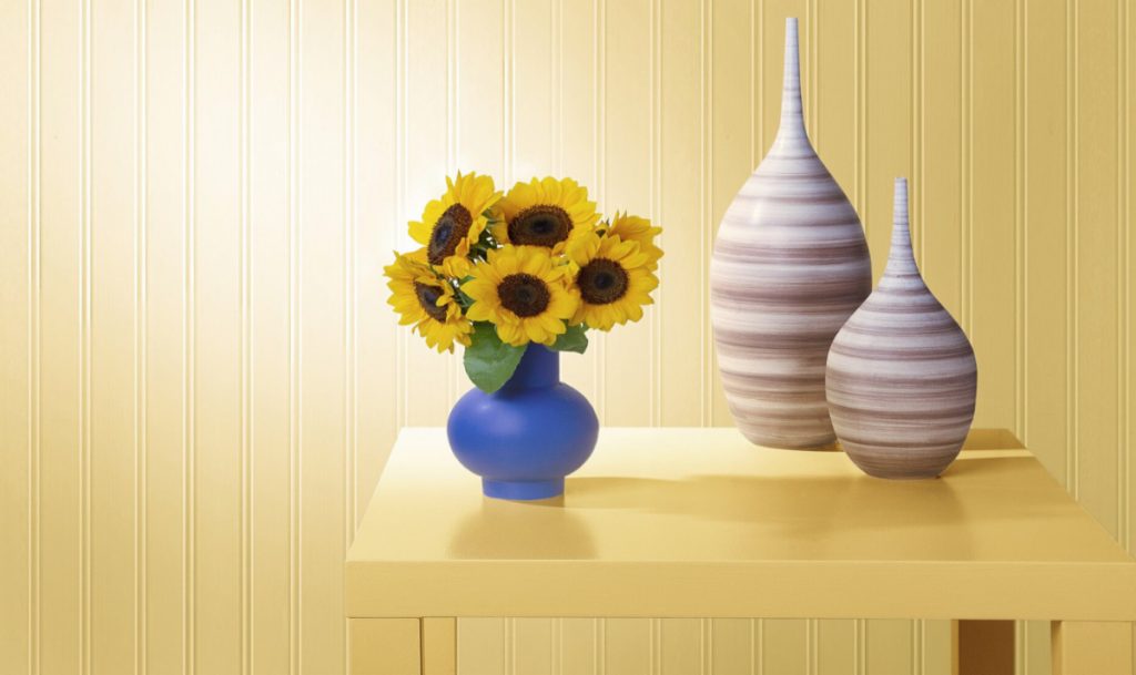 SPOTLIGHT: Benjamin Moore 2024 Paint Colors of the Year • Truitt & White