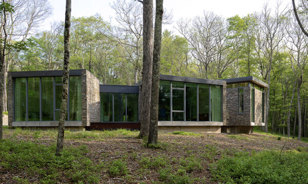 Discover the Beauty of Marvin Ultimate Windows • Truitt & White